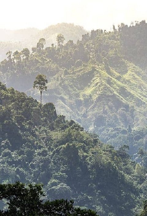 3 semaines en Colombie : Le meilleur itinéraire